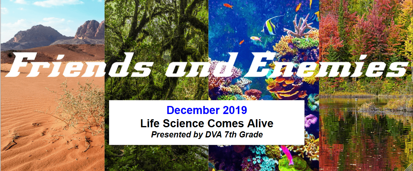 DVA Museum – South Hall Middle School